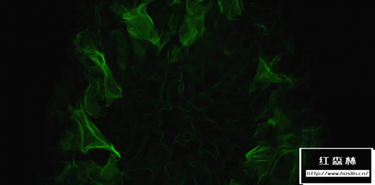 【4K视频素材】227个黑暗魔法科幻能量冲击碰撞恶龙火焰法术打斗传送门烟雾特效合成素材 BigFilms – Dark Magic Pack-红森林