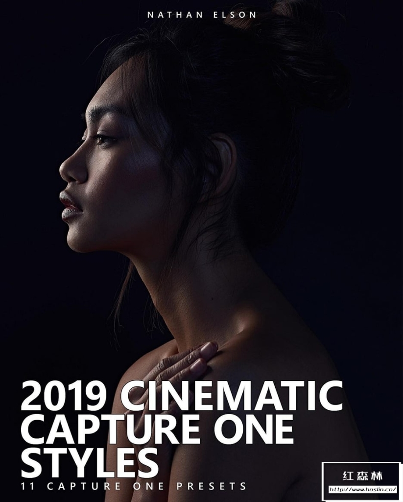 【C1样式】11款飞思复古色彩照片编辑调色C1样式预设 Nathan Elson Capture One Style Pack-红森林